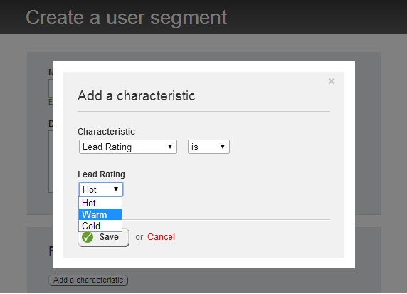 Content Personalization Using Custom Criteria