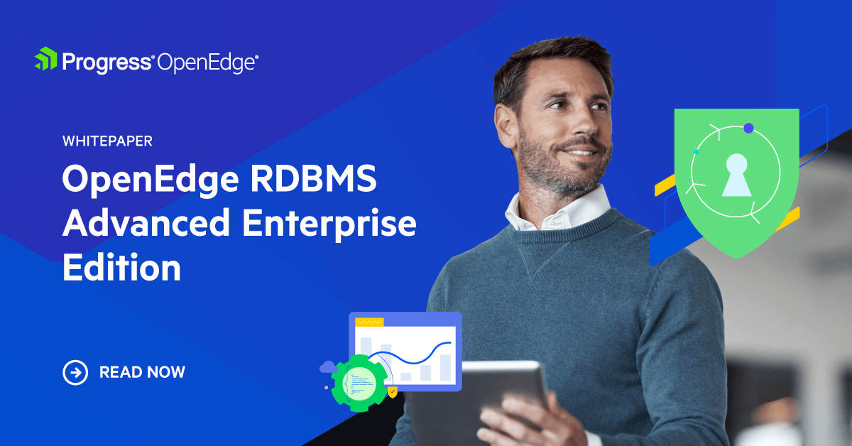 OpenEdge RDBMS Advanced Enterprise Edition | Progress OpenEdge