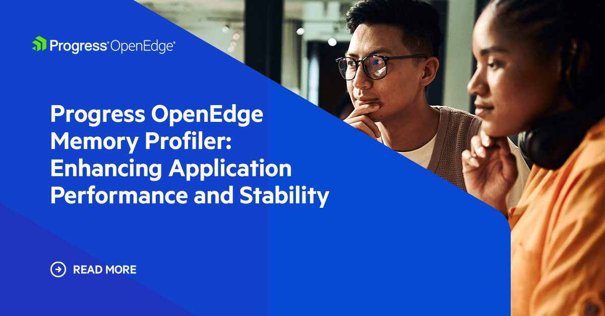 Progress OpenEdge Memory Profiler