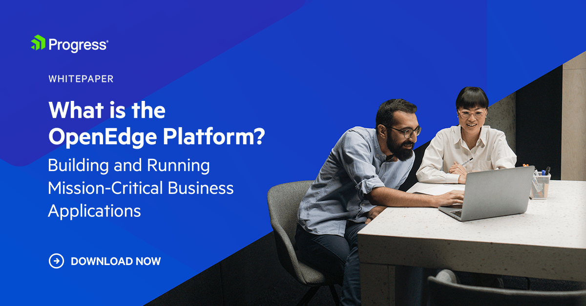 What is the Progress OpenEdge Platform?