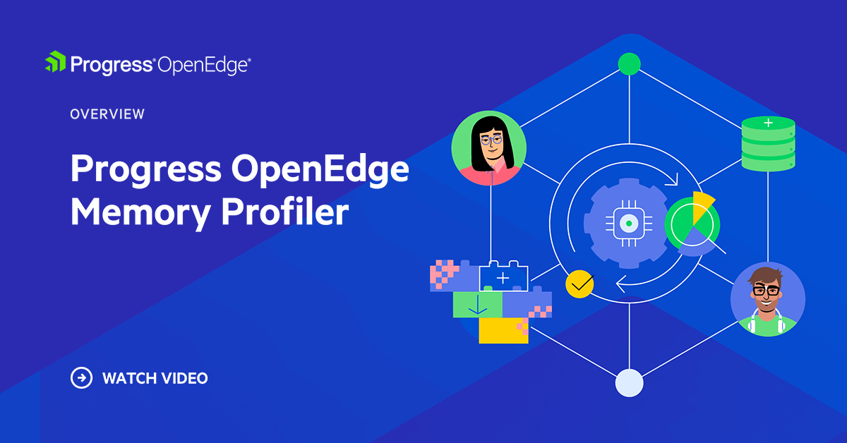 Progress OpenEdge Memory Profiler Video Overview - Videos - Progress