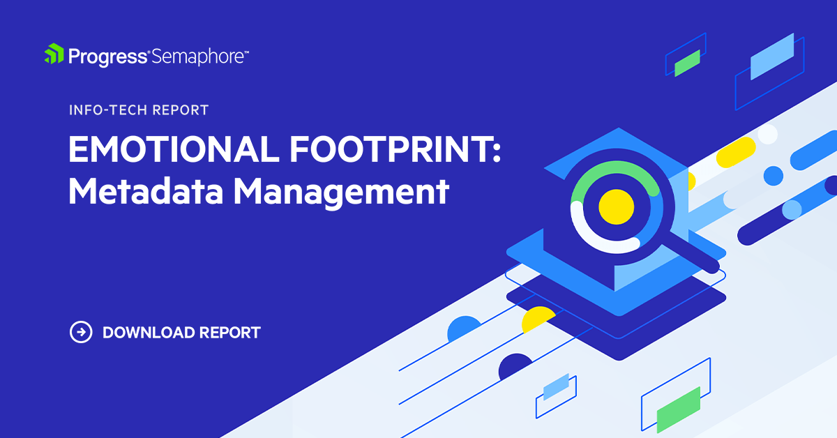 [Progress Semaphore] InfoTech Emotional FootPrint 2025 Report: Metadata ...